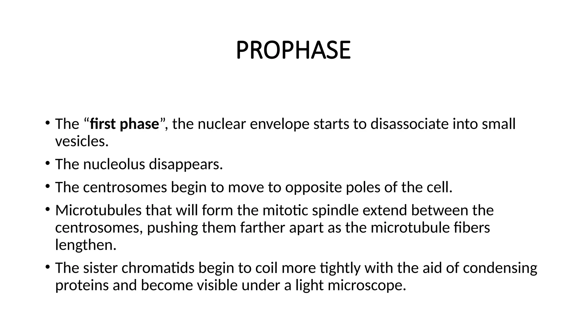 The stages of mitosis and cell division frim prophase to telophase | PPTX