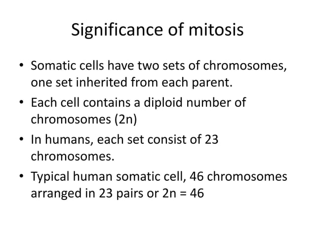 Mitosis Lesson 2 | PPT