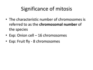 Mitosis Lesson 2 | PPT