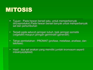 pembelahan sel secara mitosis-meiosis materi kelas XII | PPT
