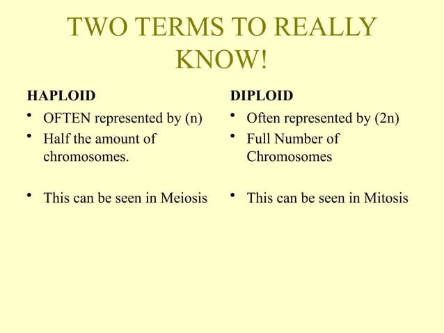 Mitosis--meiosis.pptx for grade 8 students | PPTX