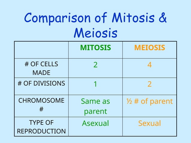 Mitosis--meiosis.pptx for grade 8 students | PPTX