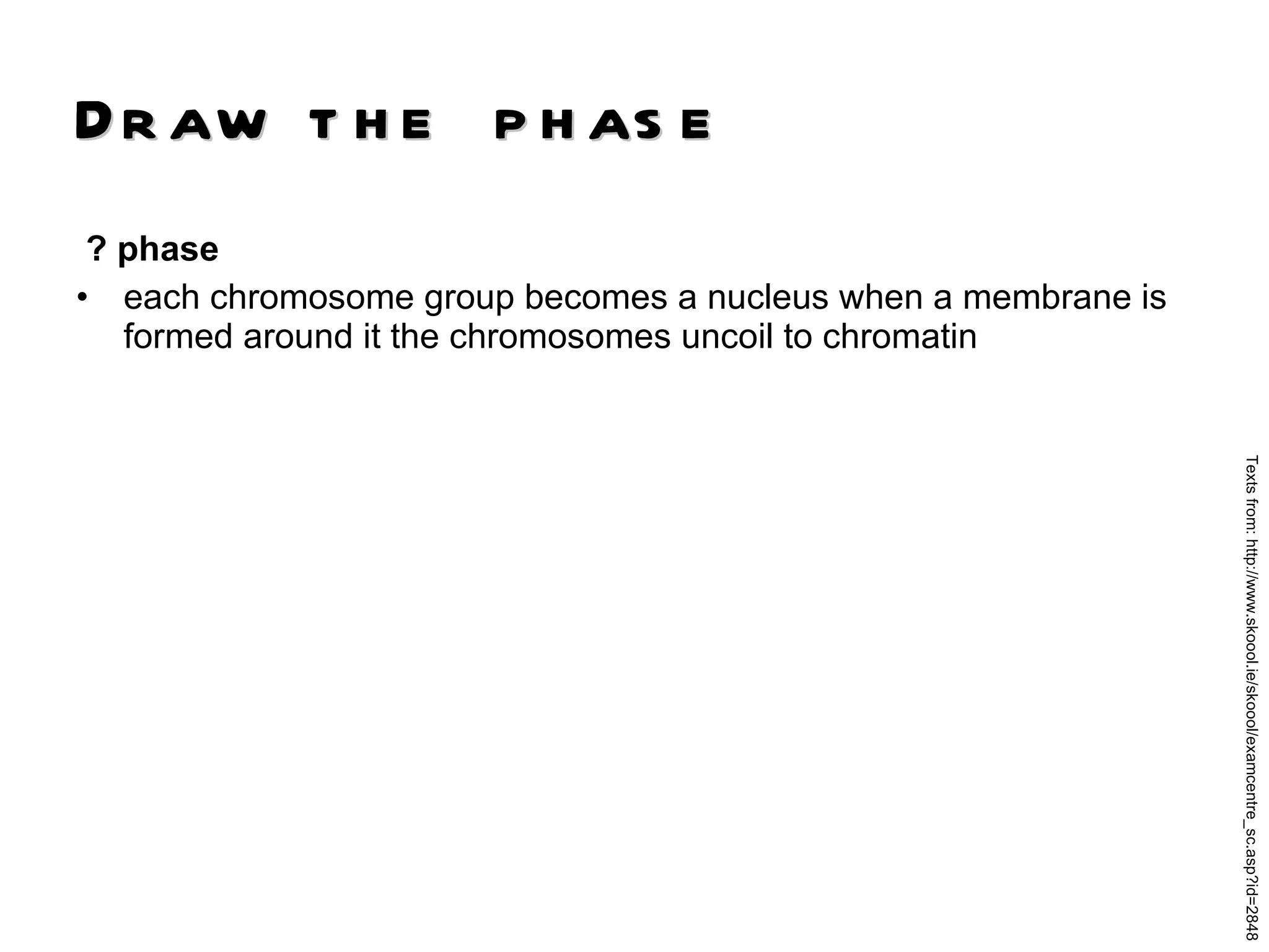 Mitosis meiosis-fernando biodeluna2011 | PPS