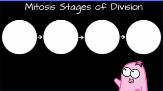 Mitosis-ppt.pptx science high school matatag | PPTX