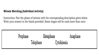 Mitosis-ppt.pptx science high school matatag | PPTX