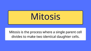 Mitosis-ppt.pptx science high school matatag | PPTX