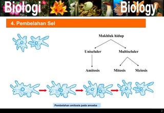 PEMBELAHAN SEL-PEMBELAHAN MITOSIS-BIOLOGI | PPT