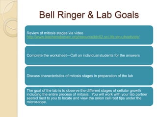 Mitosis (Tami) | PPTX