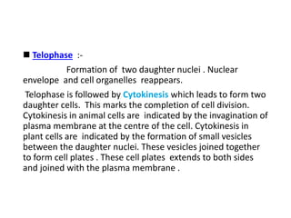 MITOSIS B Ed Seminar Presentation .pptx