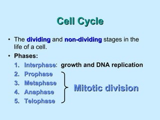 MITOSIS (2).pdf