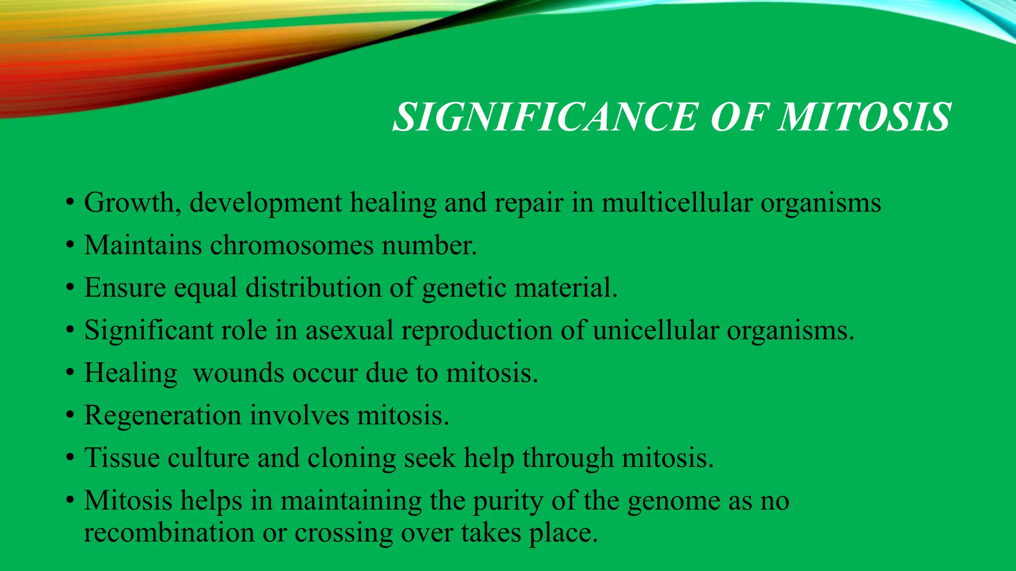 mitosis.ppt