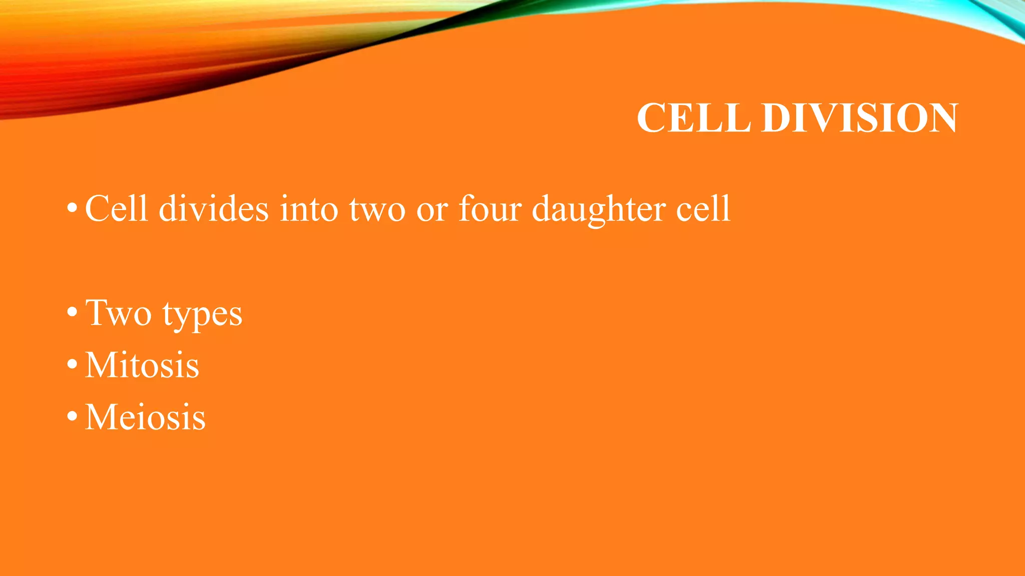 mitosis.ppt