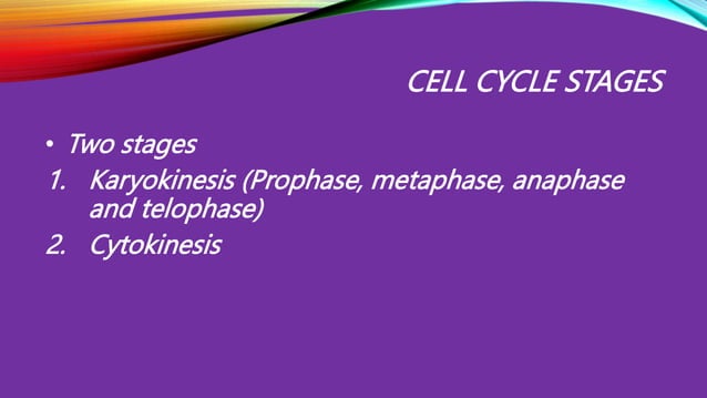 mitosis.ppt