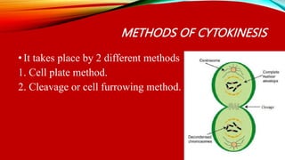 mitosis.ppt