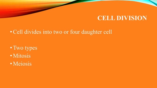 mitosis.ppt