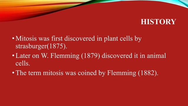 mitosis.ppt