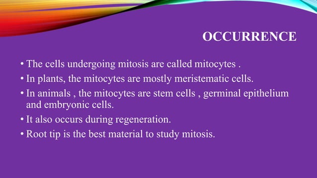 mitosis.ppt