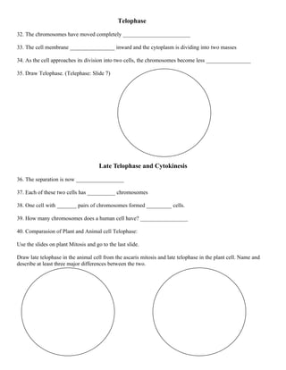 Cell Division Mitosis And Meiosis Worksheet