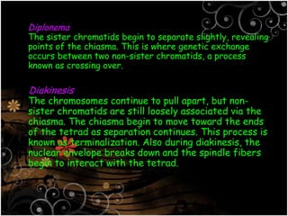 Mitosis and meiosis | PPTX