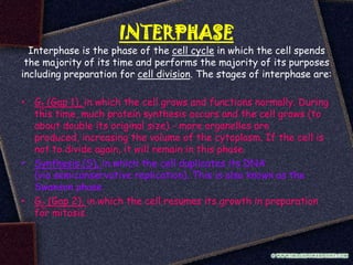 Mitosis and meiosis | PPTX