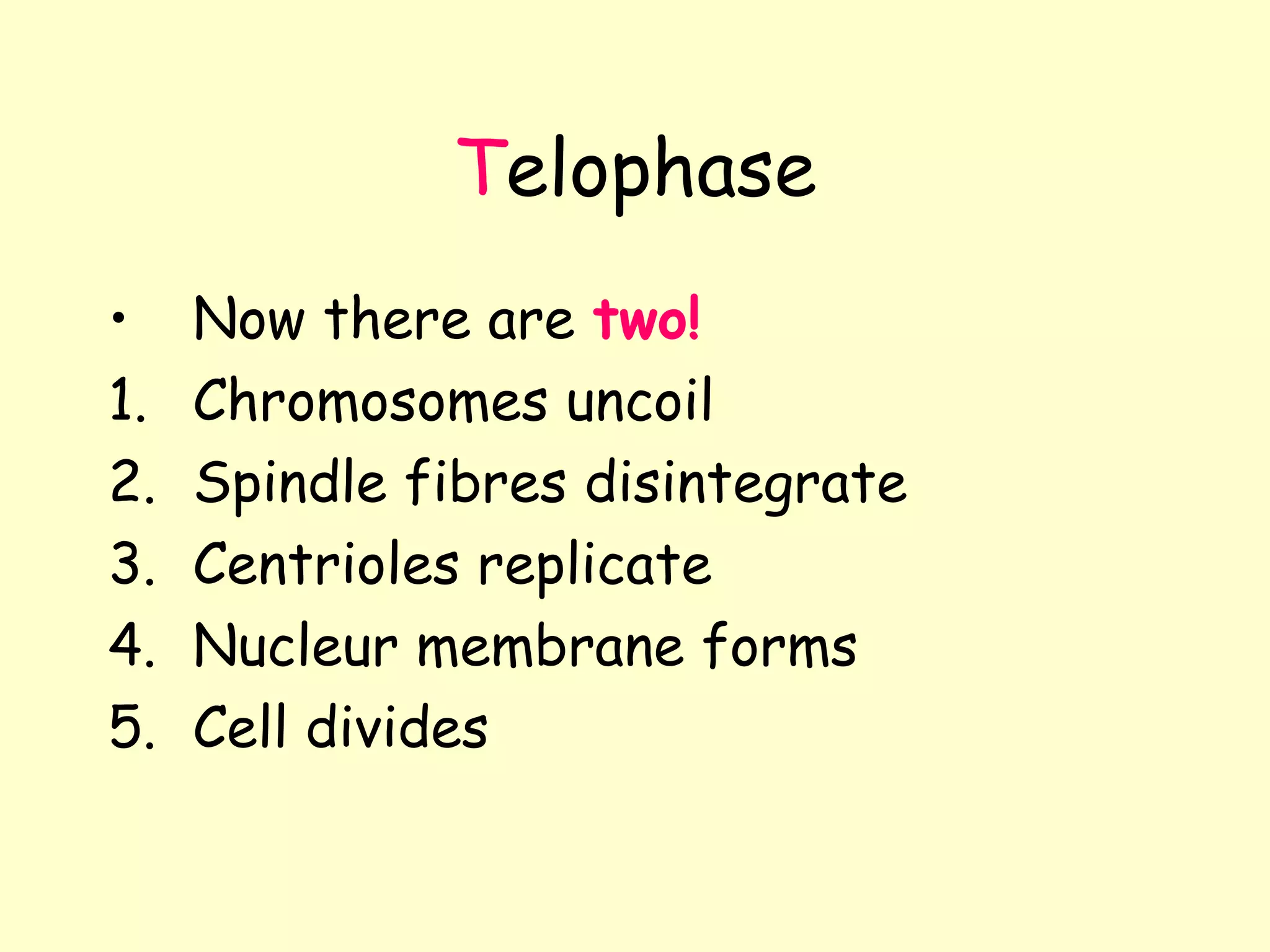 Mitosis and meiosis | PPT