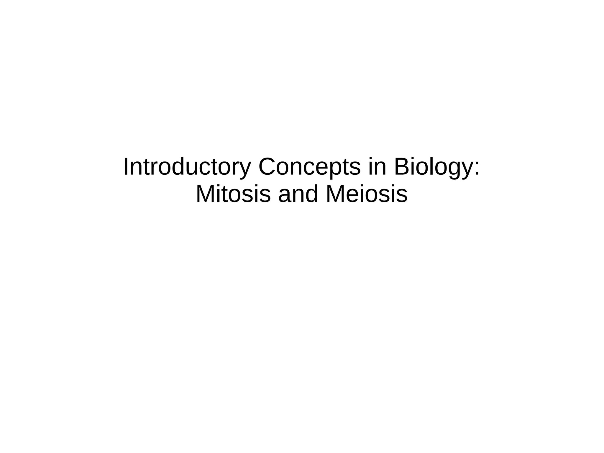 Mitosis and meiosis | PPT