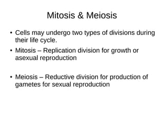 Mitosis and meiosis | PPT