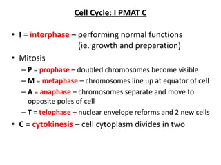 Mitosis and meiosis | PPT