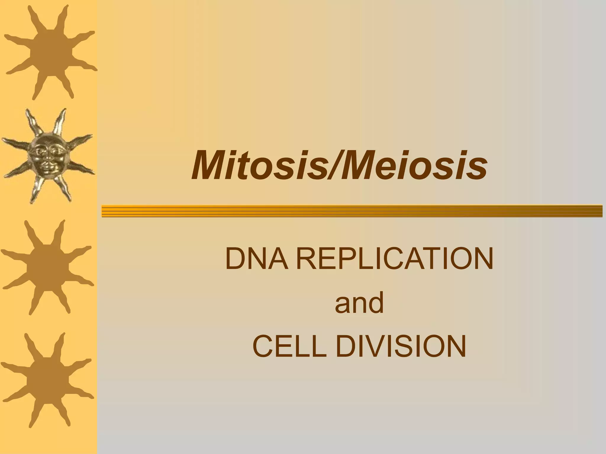 Mitosis and meiosis | PPT