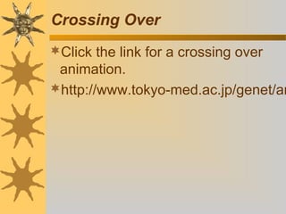 Crossing Over Animation