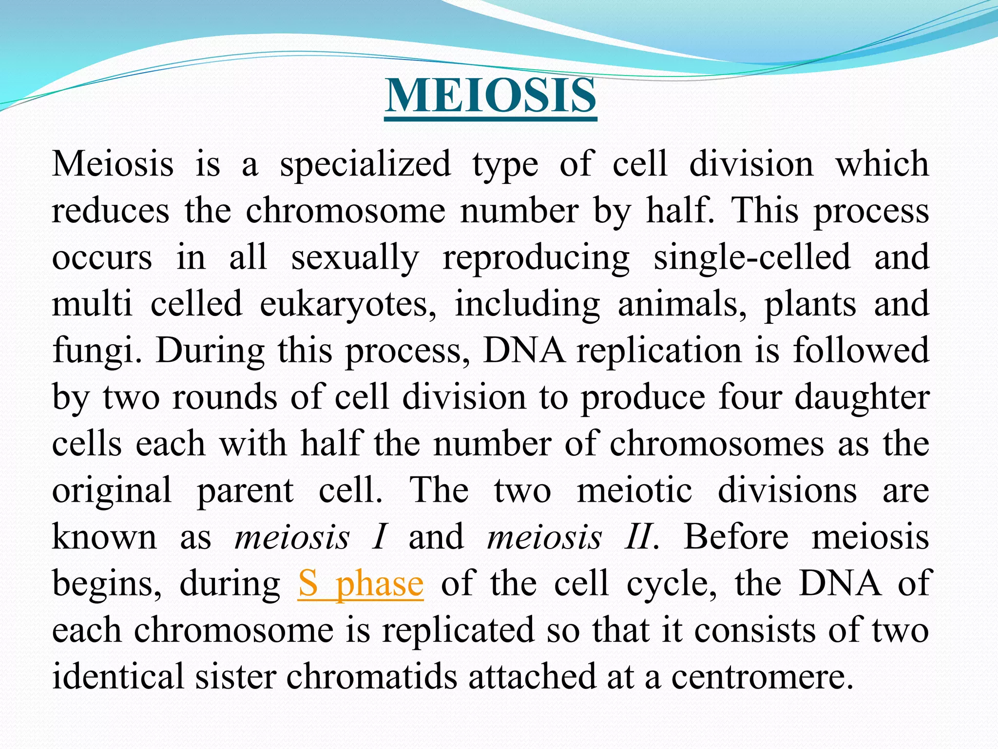 Mitosis and meiosis | PDF