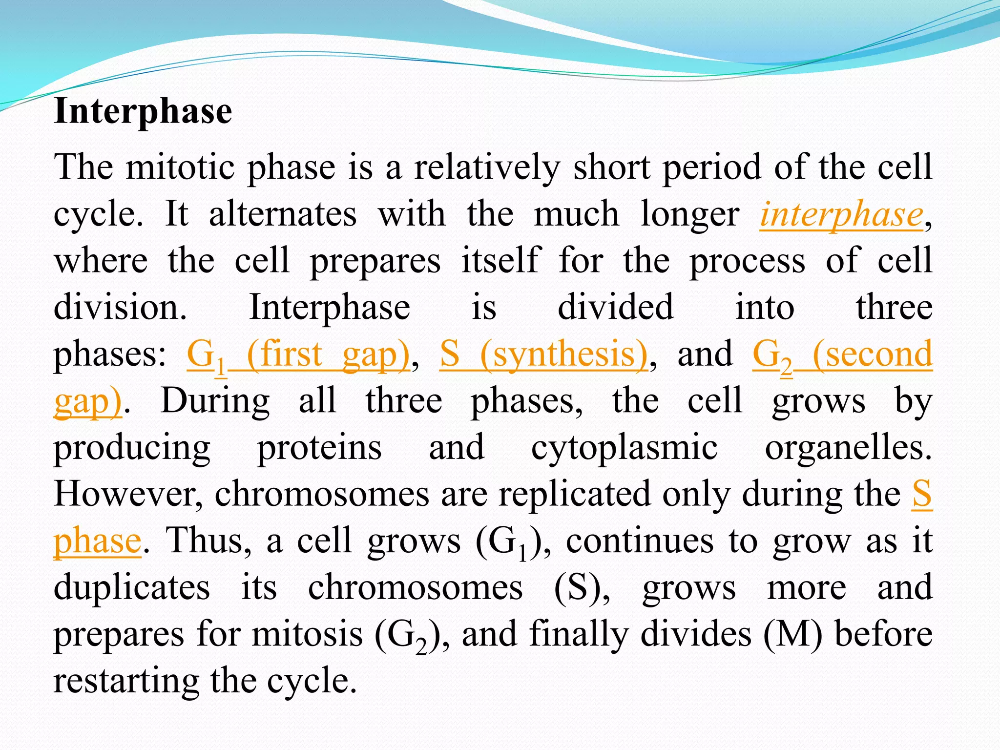 Mitosis and meiosis | PDF