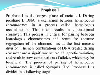 Mitosis and meiosis | PDF