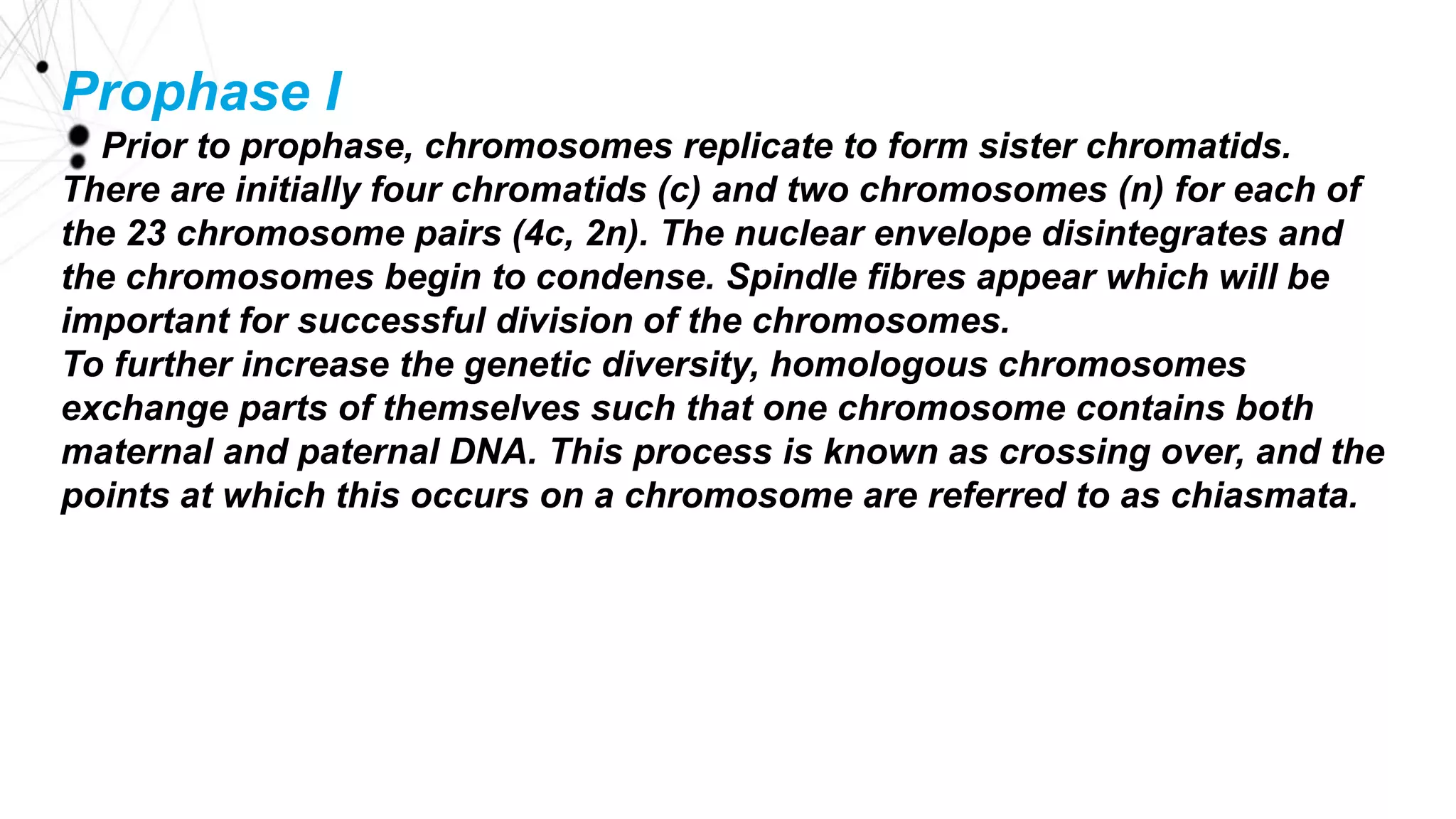 Mitosis and meiosis | PPTX | Biological Sciences | Science