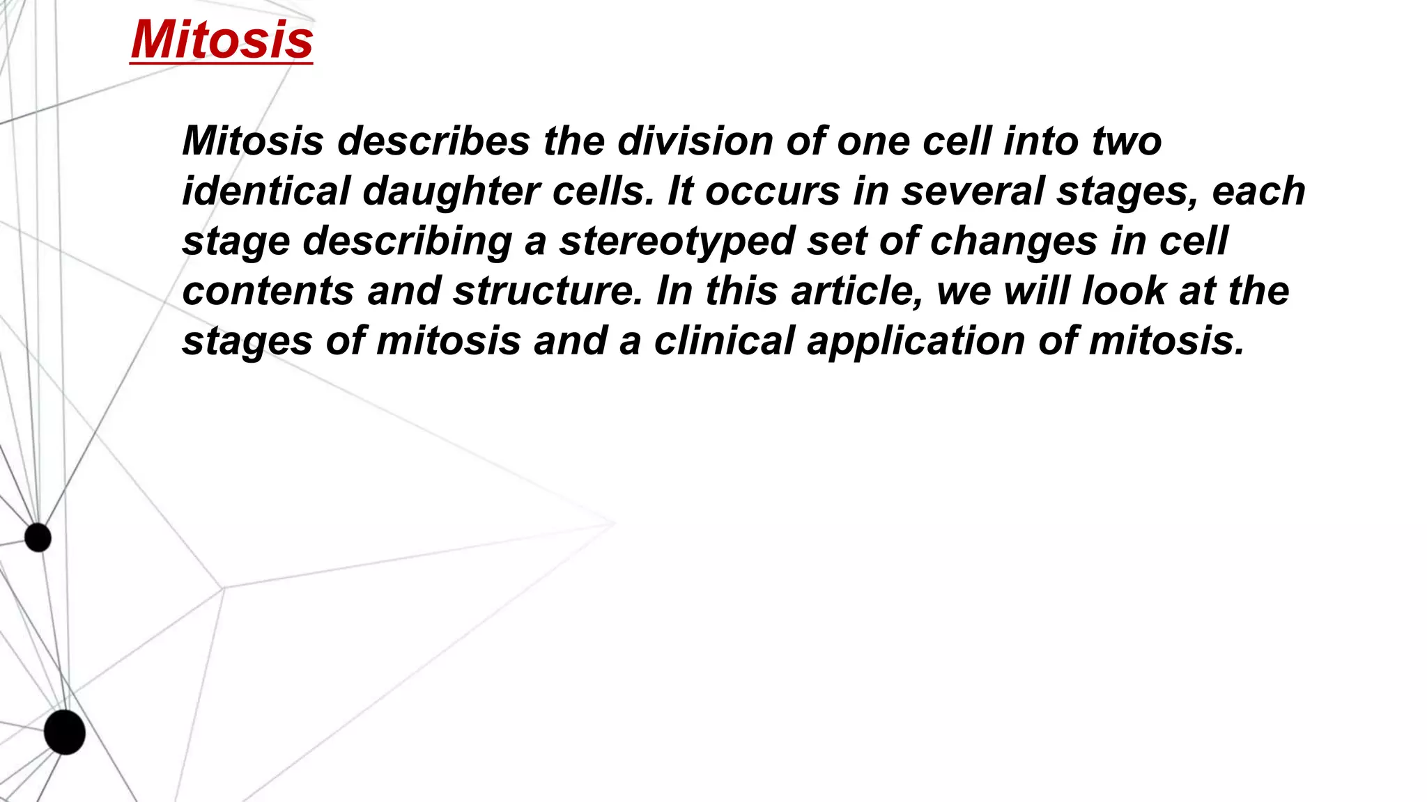 Mitosis and meiosis | PPTX | Biological Sciences | Science