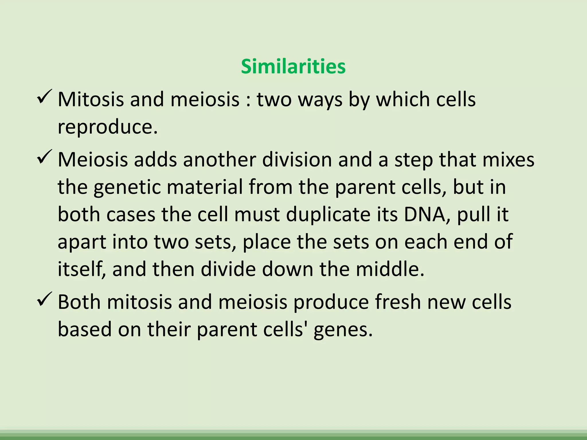 Mitosis and meiosis | PPT