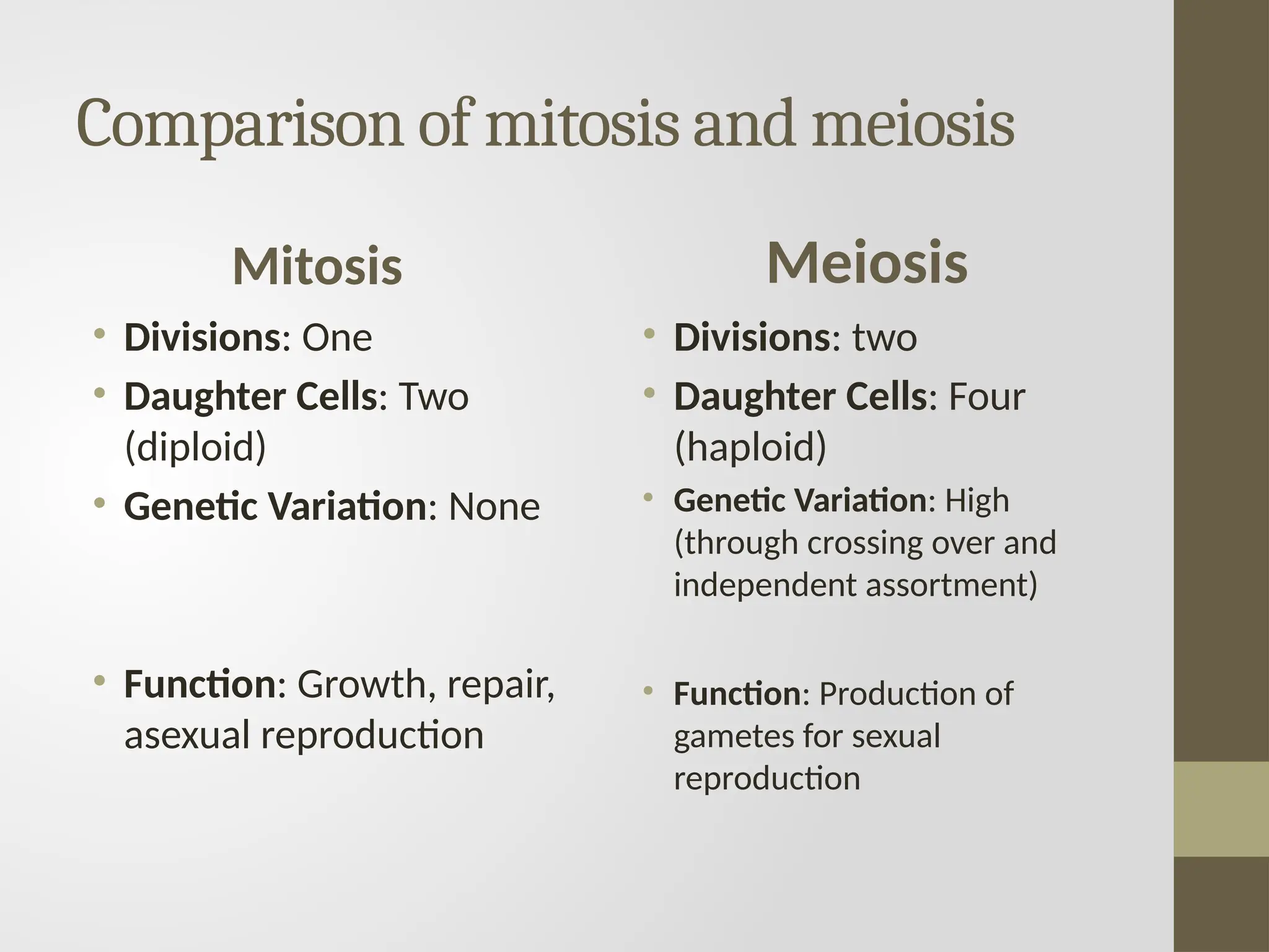 Mitosis and Meiosis: Understanding Cell Division | PPT