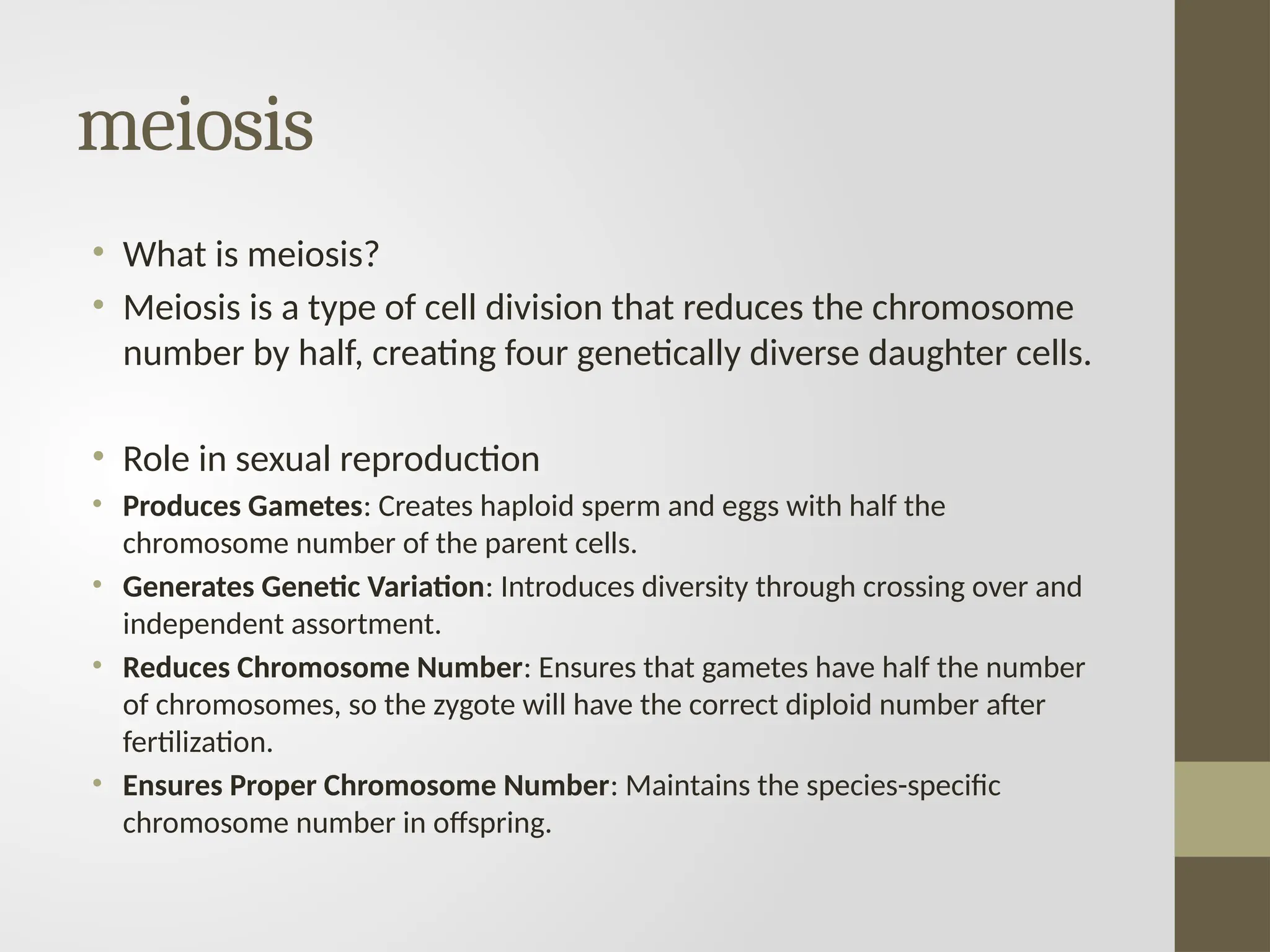 Mitosis and Meiosis: Understanding Cell Division | PPT