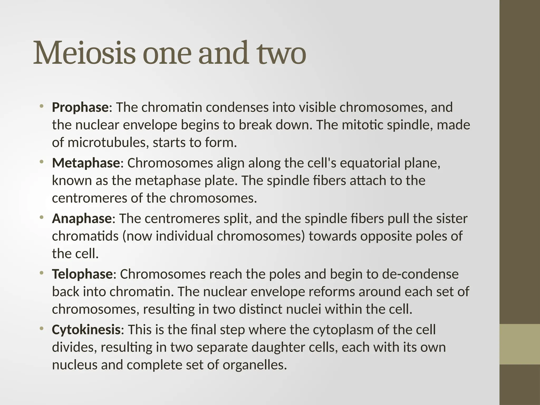 Mitosis and Meiosis: Understanding Cell Division | PPT