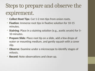 Mitosis and Meiosis: Understanding Cell Division | PPT