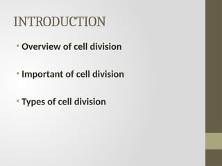 Mitosis and Meiosis: Understanding Cell Division | PPT