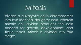 Quarter two week three Mitosis and Meiosis.pptx