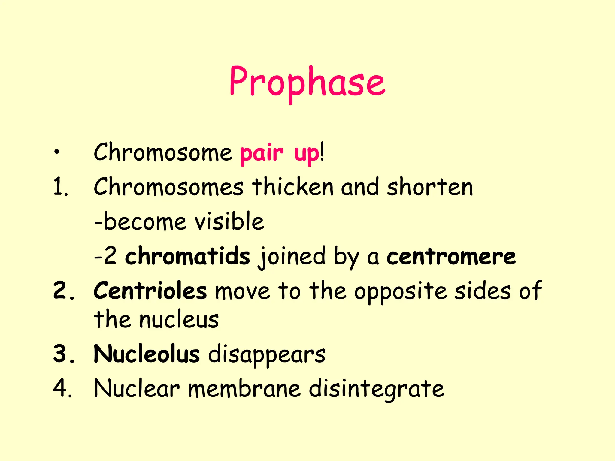 Mitosis and Meiosis for Grade 7 Science 7 | PPT