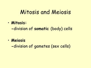 Mitosis and Meiosis for Grade 7 Science 7 | PPT