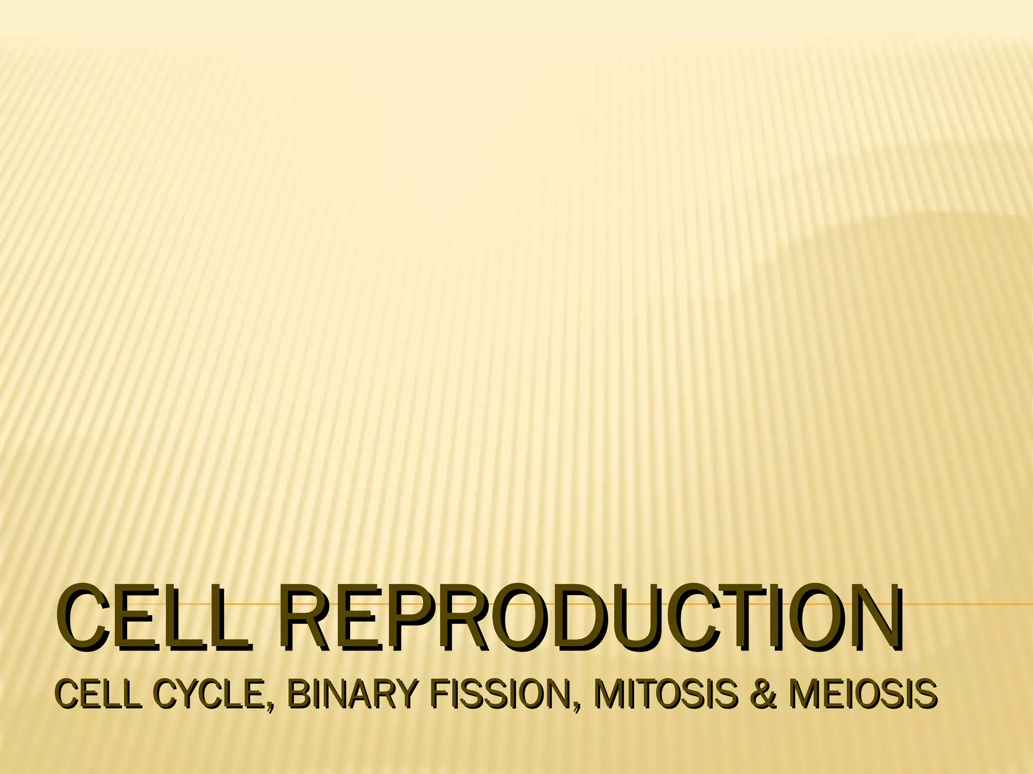 Mitosis and Meiosis | PPT