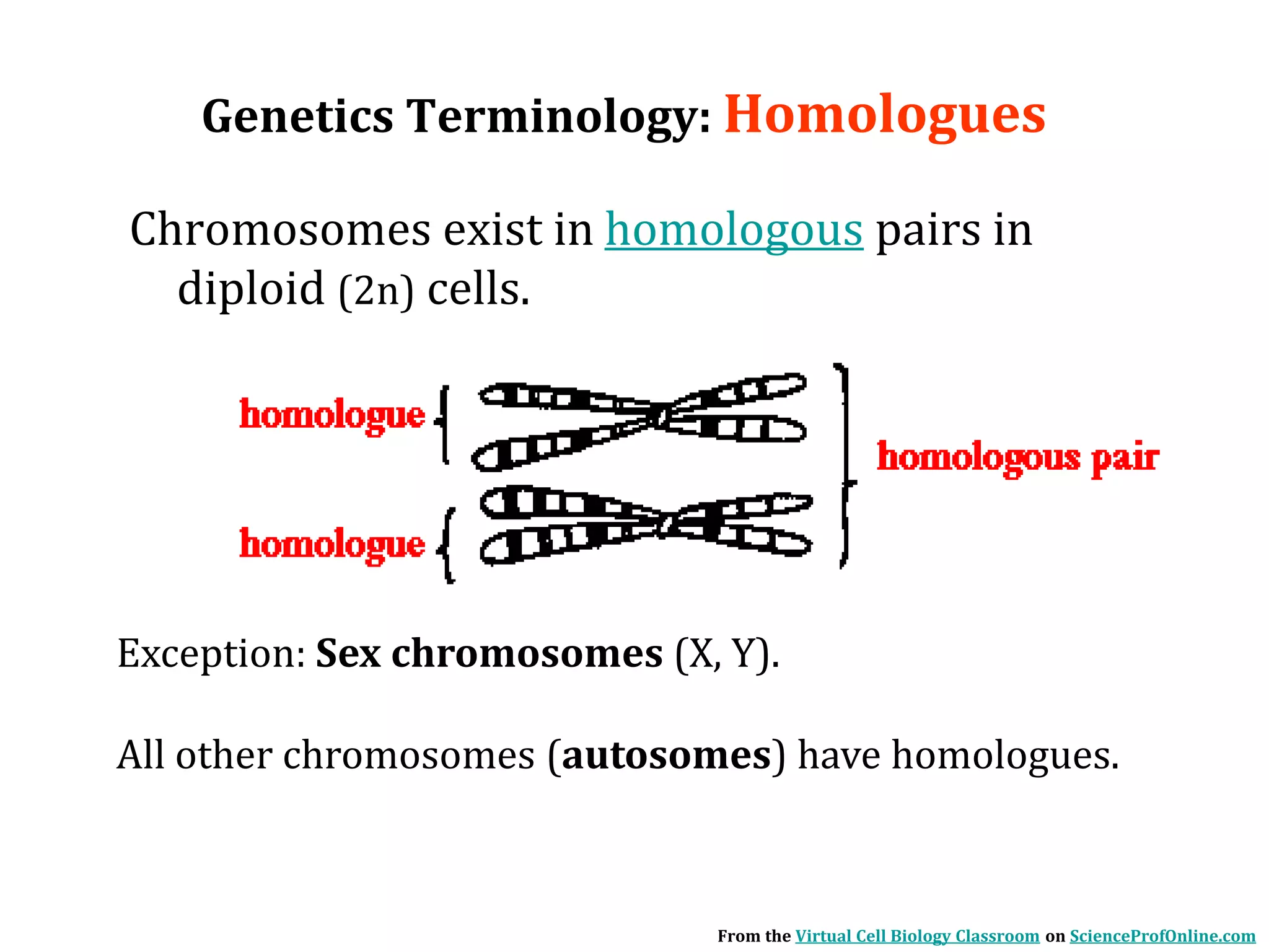 mitosis and meiosis (1).pptx | Biological Sciences | Science