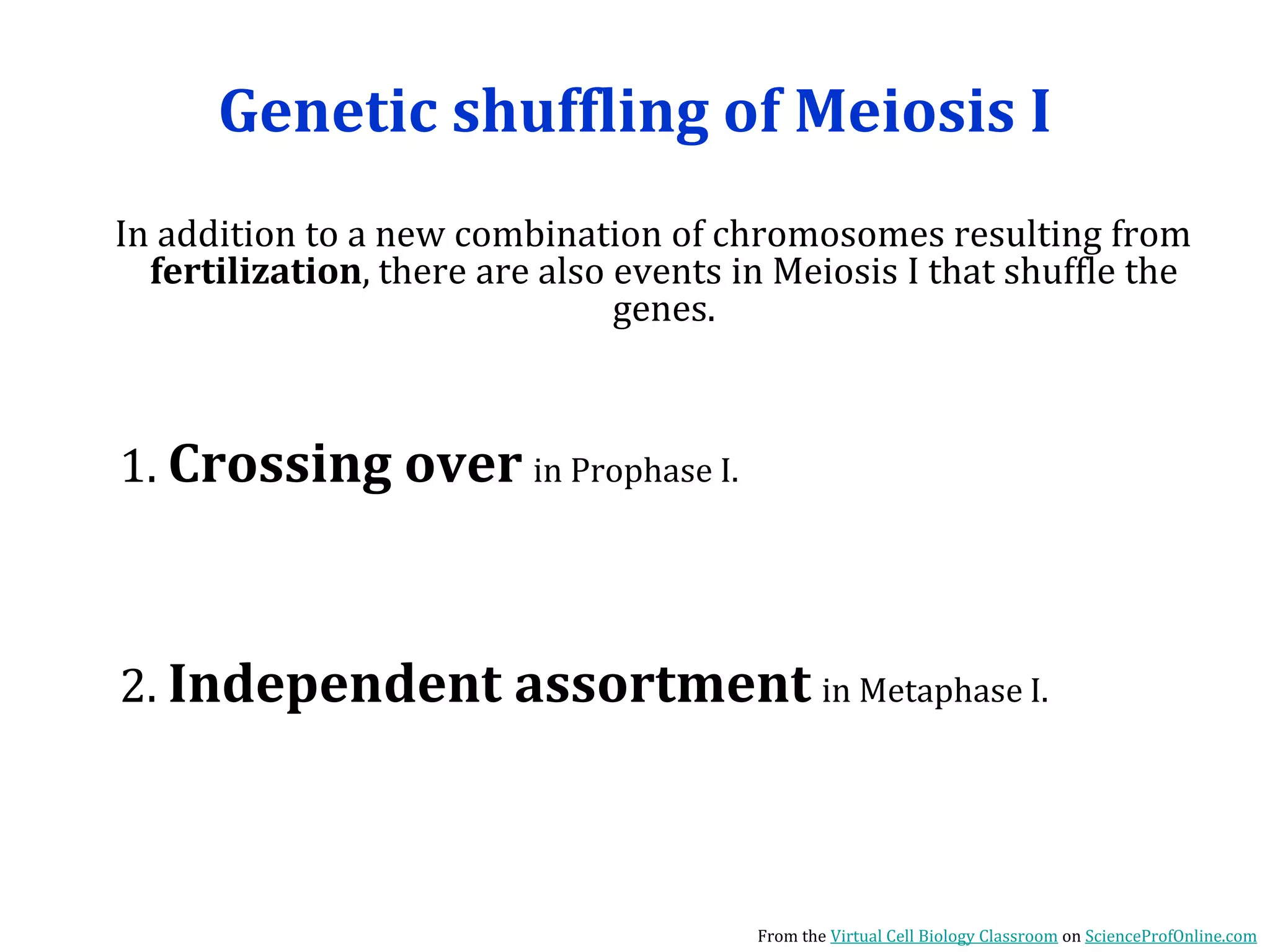 mitosis and meiosis (1).pptx