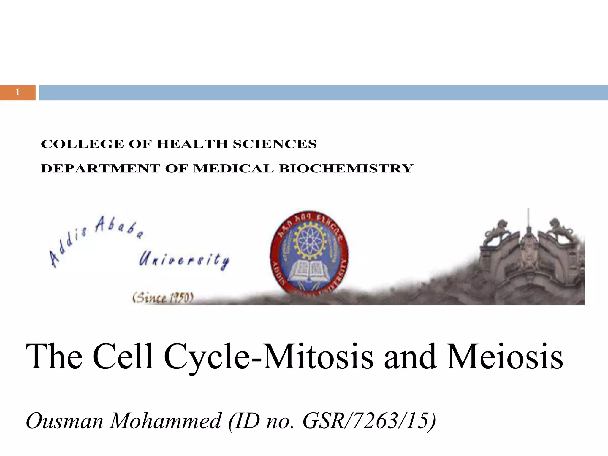 mitosis and Meiosis 2023.pptx