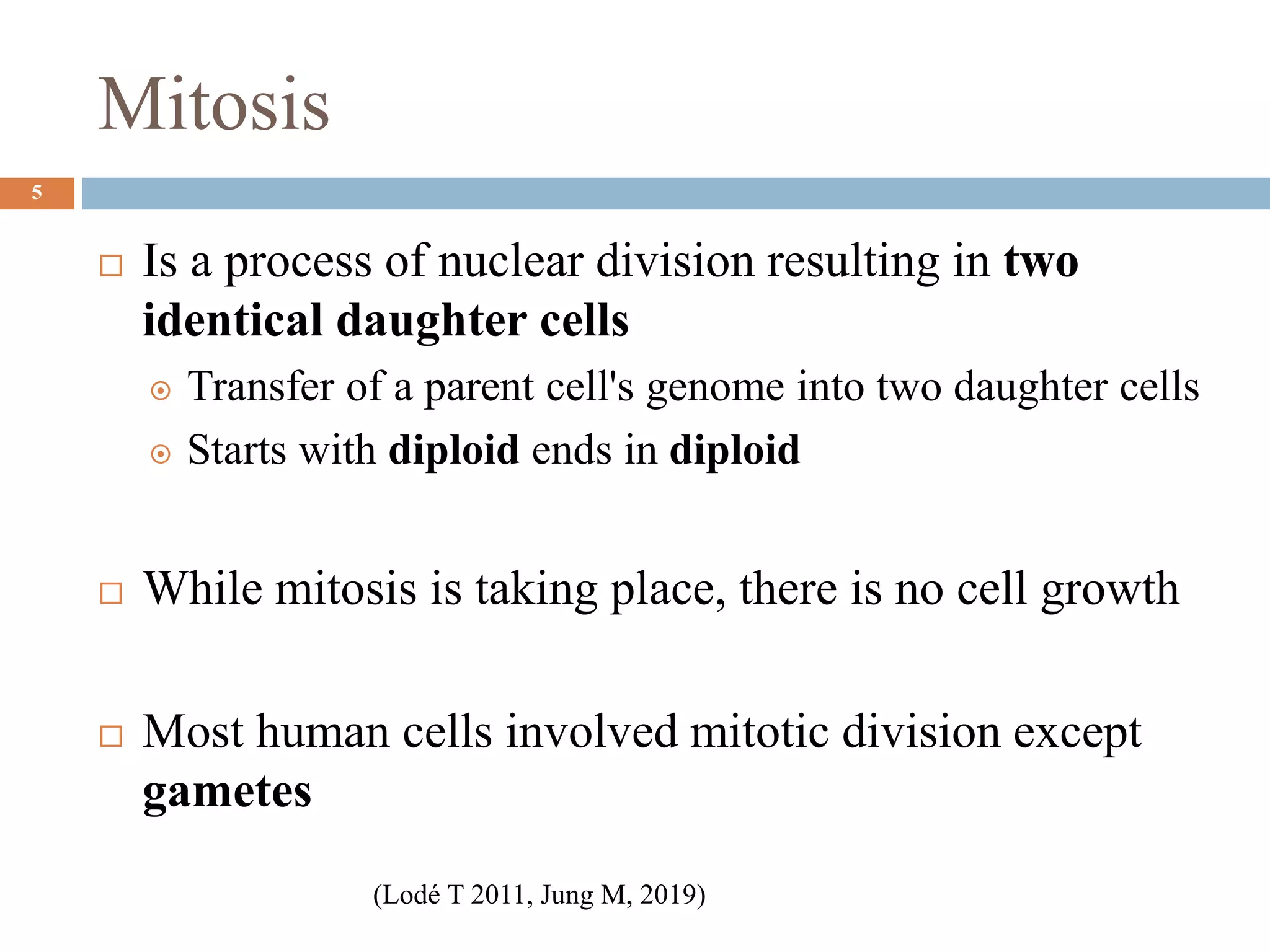 mitosis and Meiosis 2023.pptx