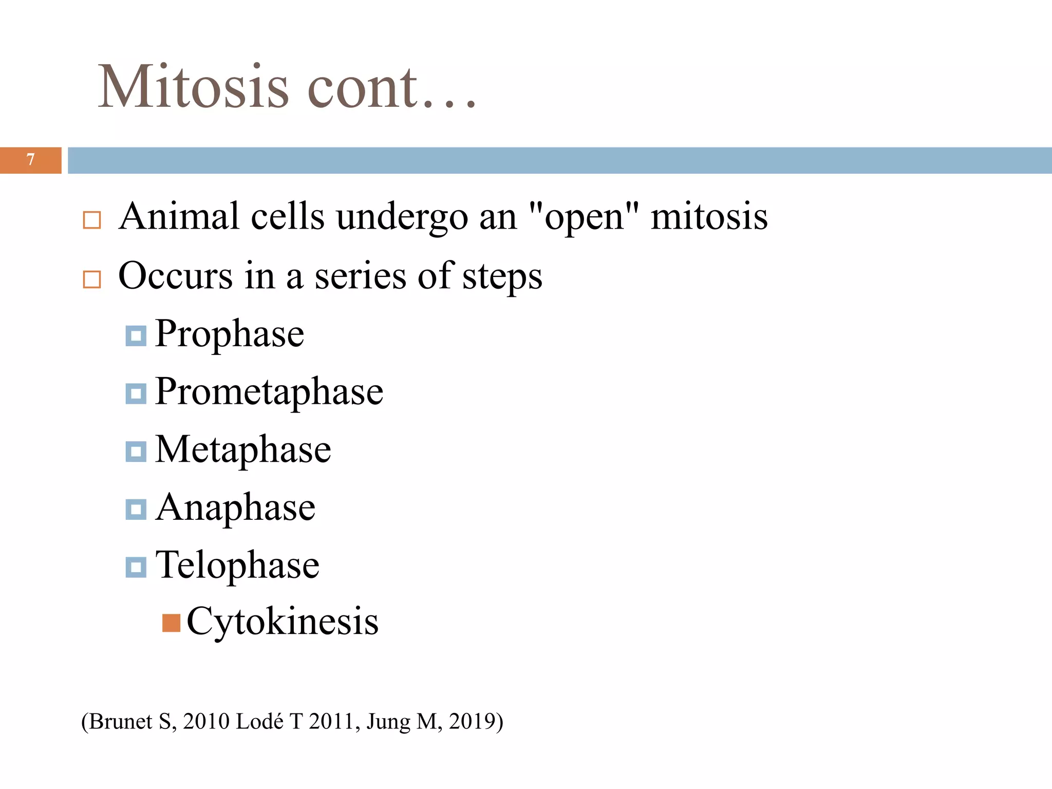 mitosis and Meiosis 2023.pptx